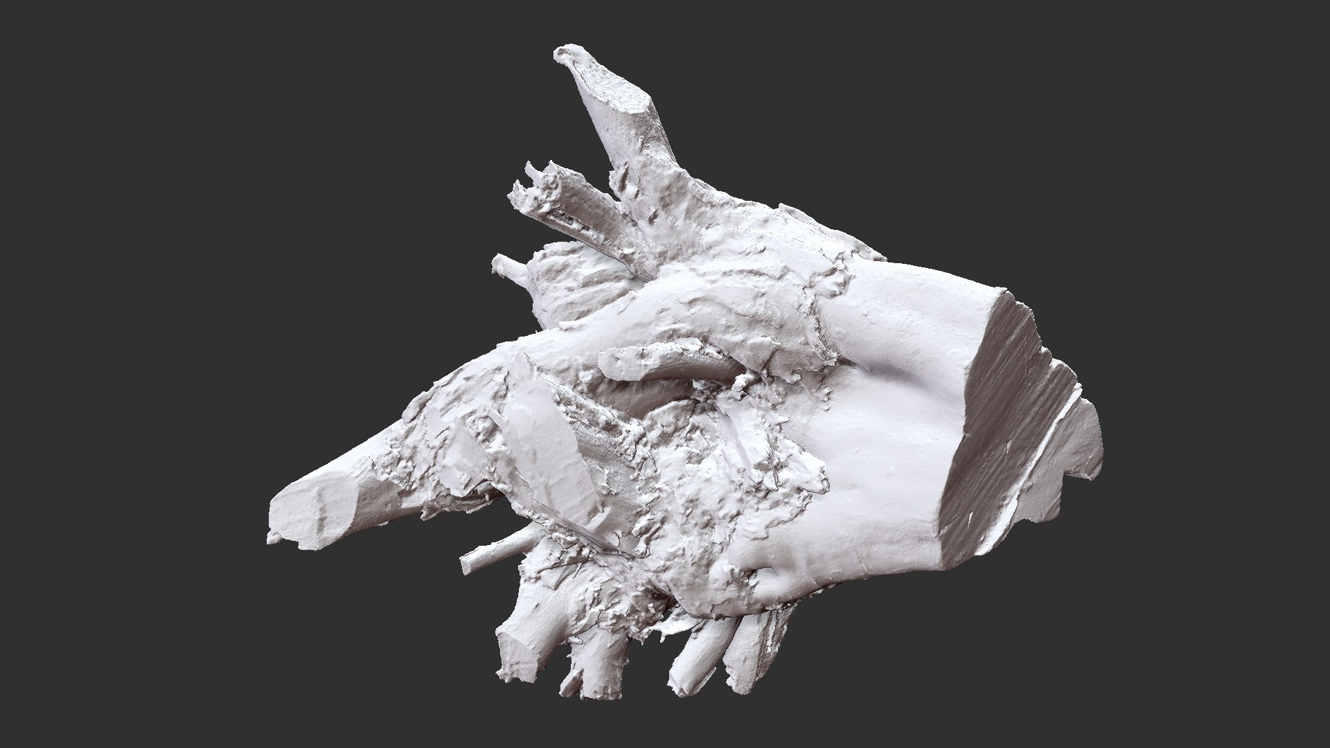 Scan Of Tree Root In Highpoly 3D Model - TurboSquid 2149546