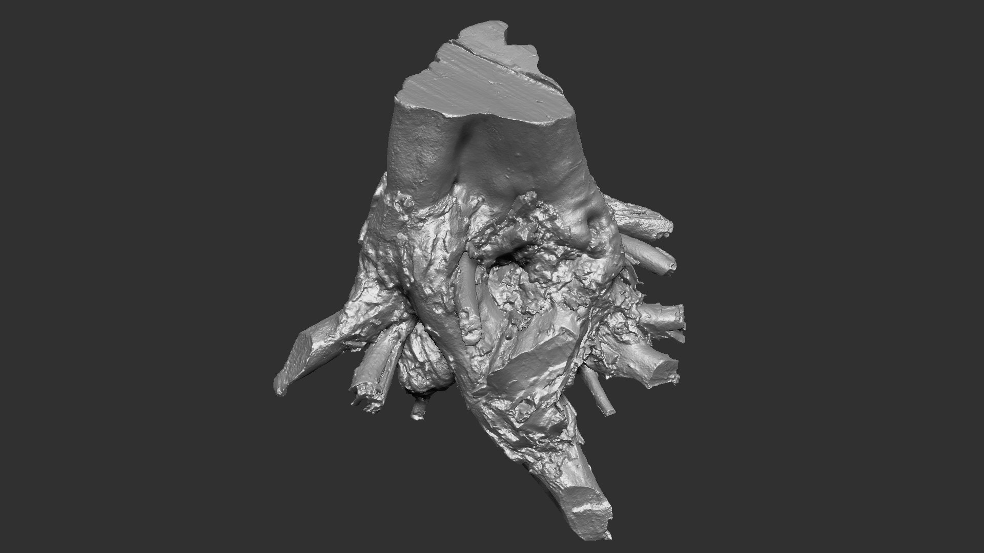 Scan Of Tree Root In Highpoly 3D Model - TurboSquid 2149546