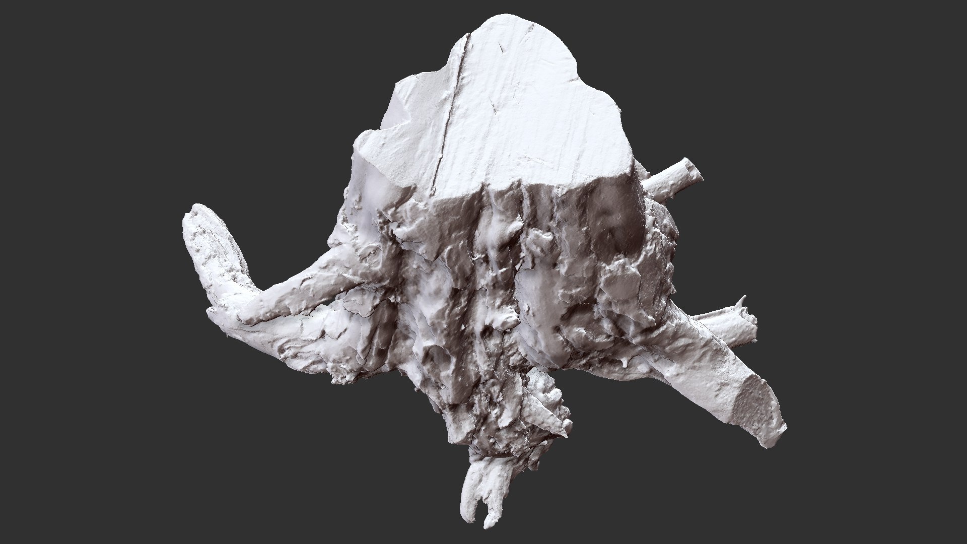 3d scan of tree root in highpoly 3D model - TurboSquid 2149546