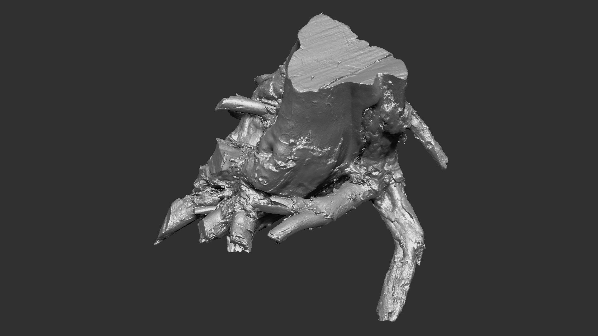 Scan Of Tree Root In Highpoly 3D Model - TurboSquid 2149546