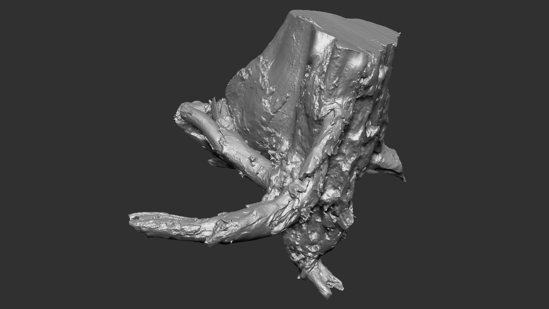 Scan Of Tree Root In Highpoly 3D Model - TurboSquid 2149546