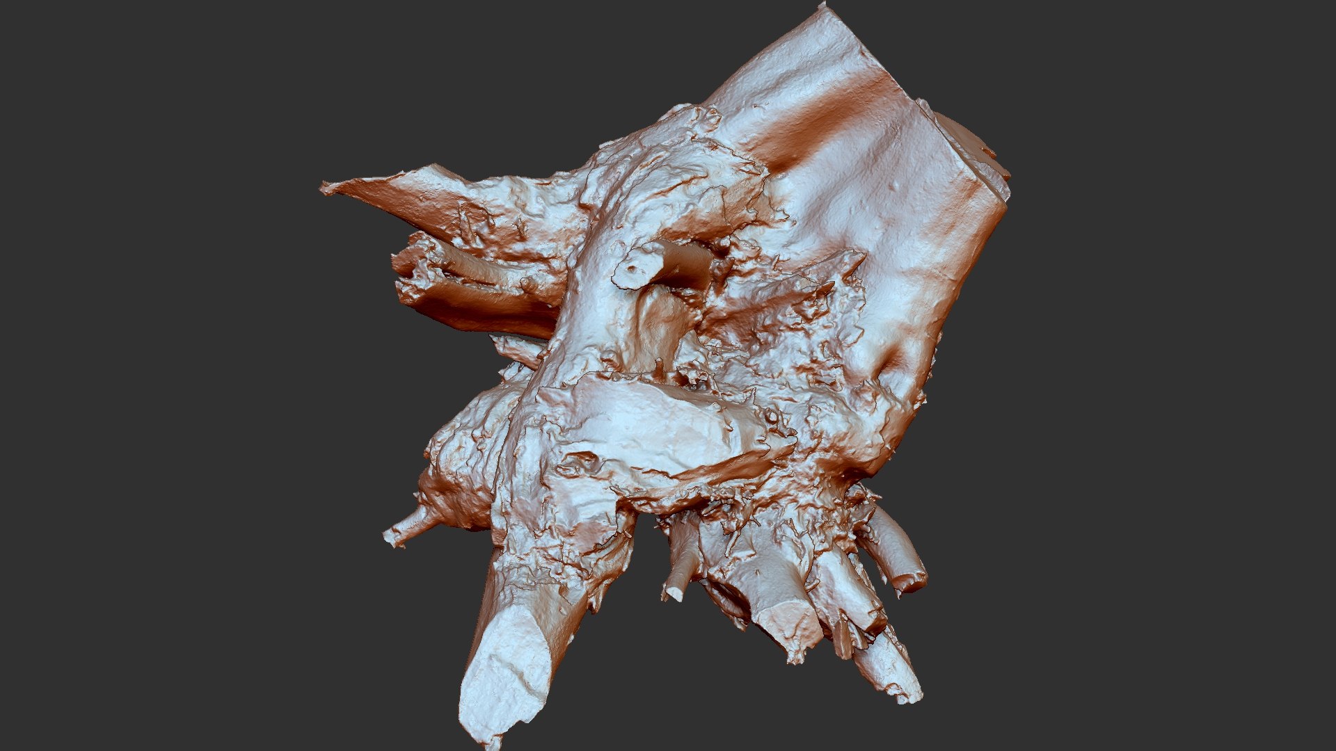 3d scan of tree root in highpoly 3D model - TurboSquid 2149546