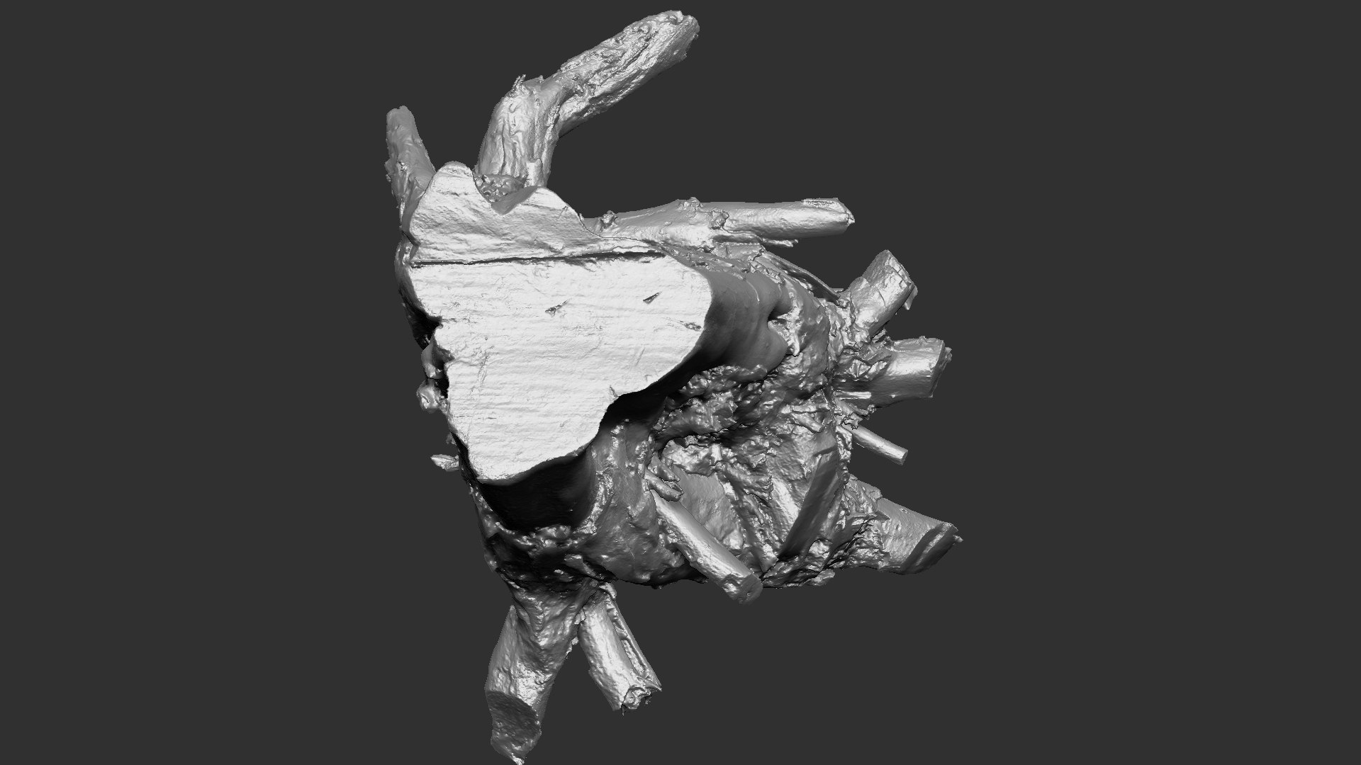 3d scan of tree root in highpoly 3D model - TurboSquid 2149546