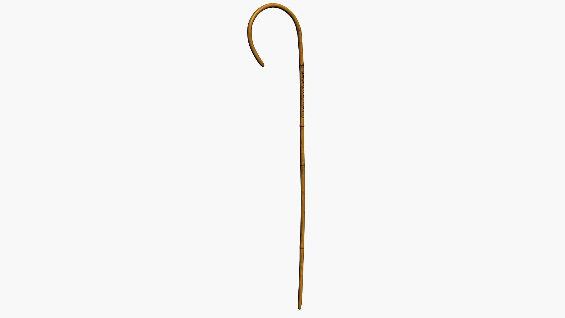 Rattan School Cane 3D Model - TurboSquid 2243441