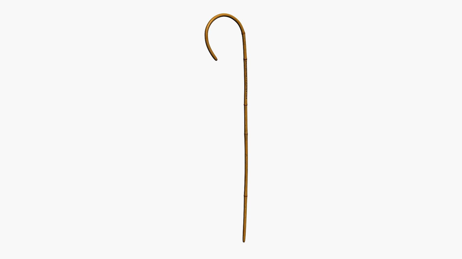 Rattan School Cane 3D Model - TurboSquid 2243441
