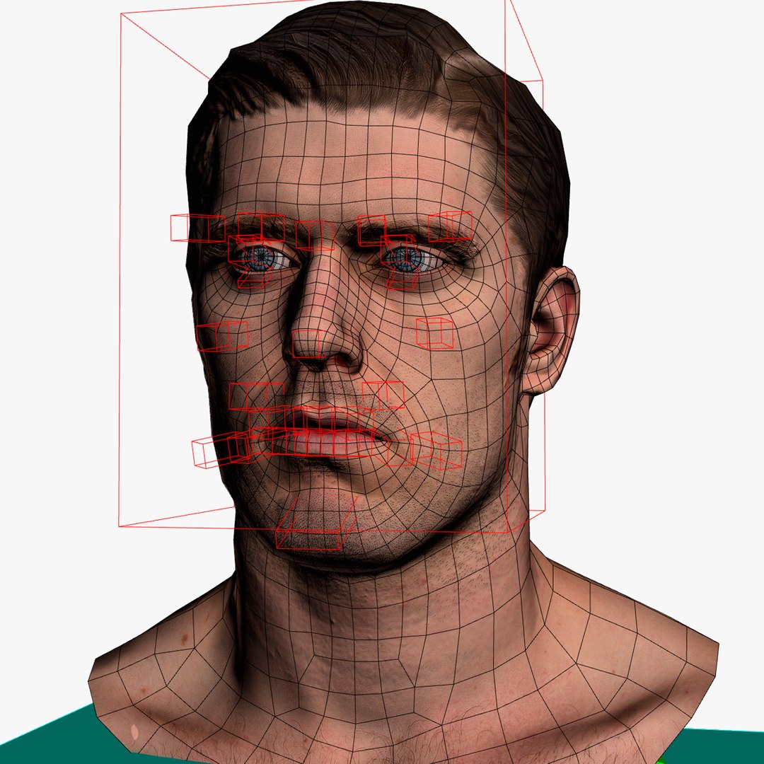 3D Rigged Head - Model - TurboSquid 1154558