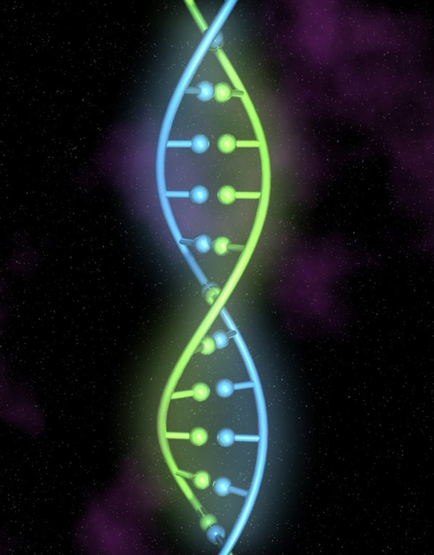 3d Dna Strand