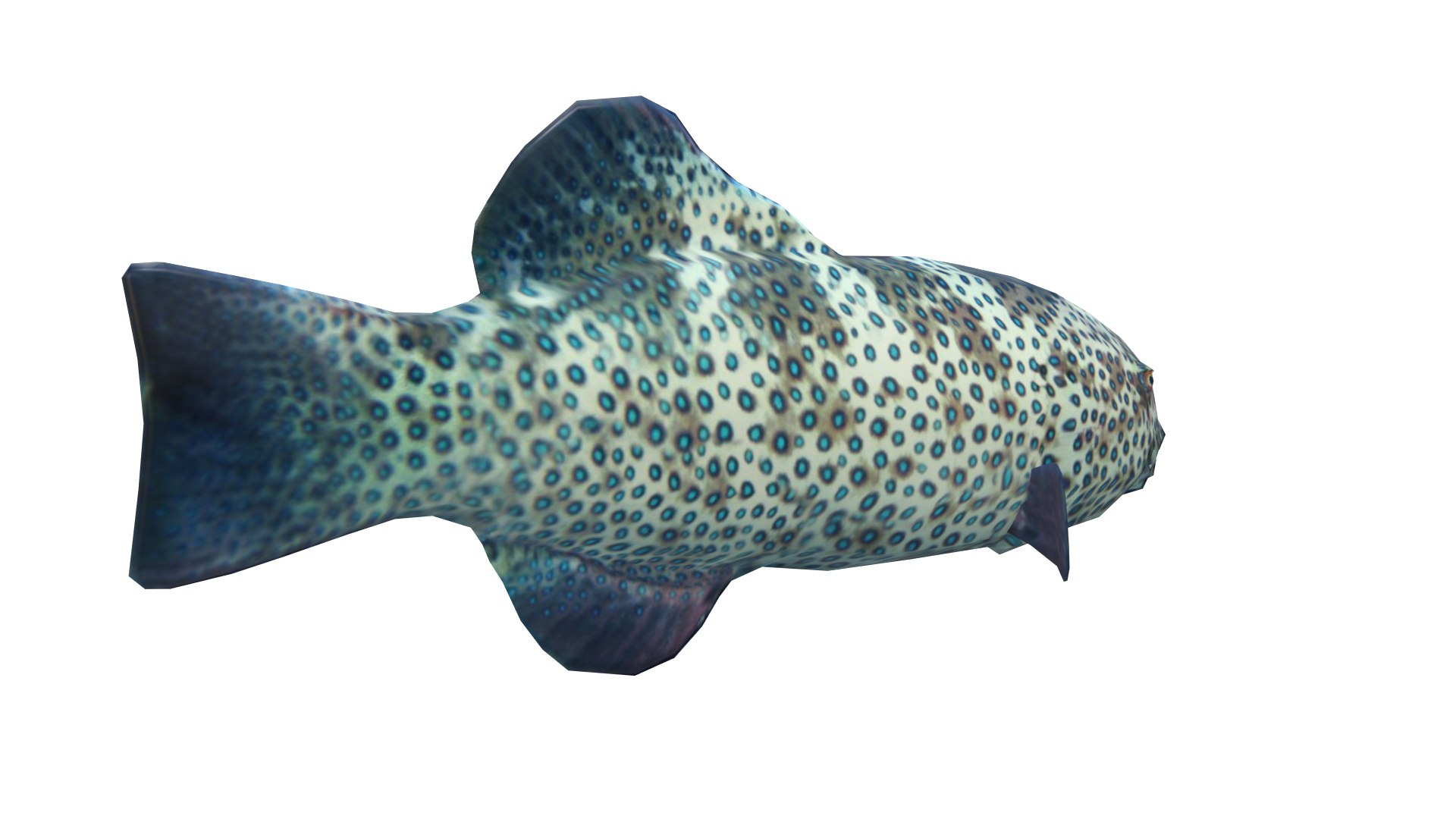 Groupers Fish 3D Model 3D - TurboSquid 2310682
