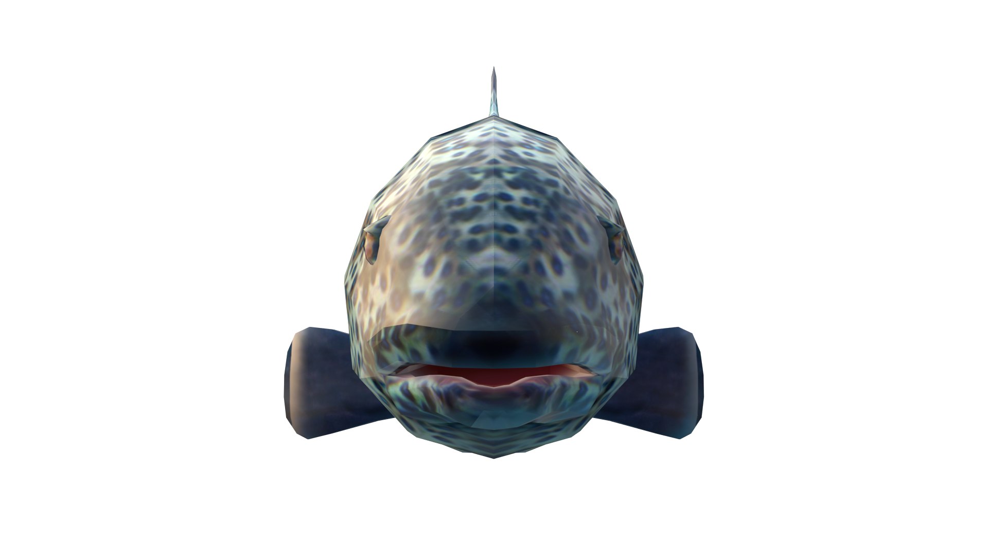 Groupers Fish 3D Model 3D - TurboSquid 2310682