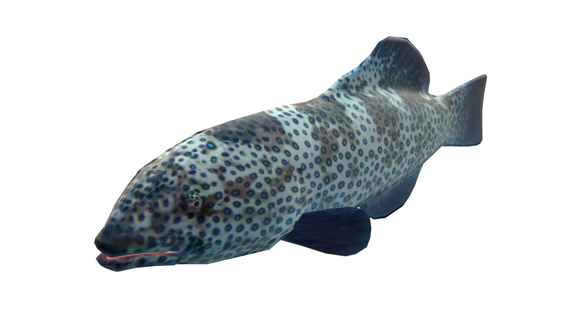 Groupers Fish 3D Model 3D - TurboSquid 2310682