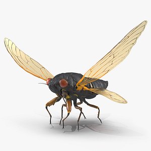 Invertebrate 3D Models for Download | TurboSquid
