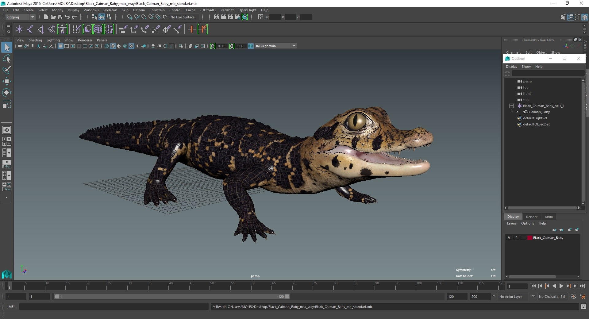 Black Caiman Baby 3D Model - TurboSquid 2212183