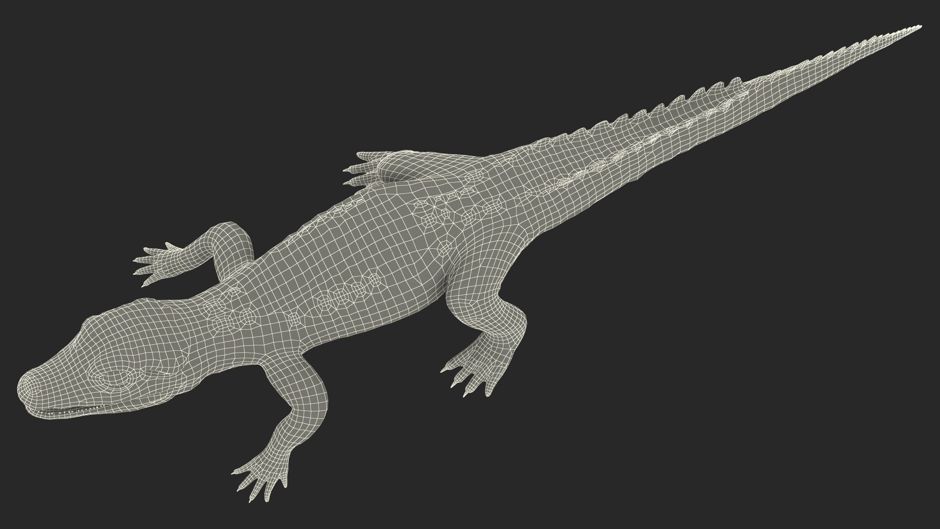 Black Caiman Baby 3D Model - TurboSquid 2212183