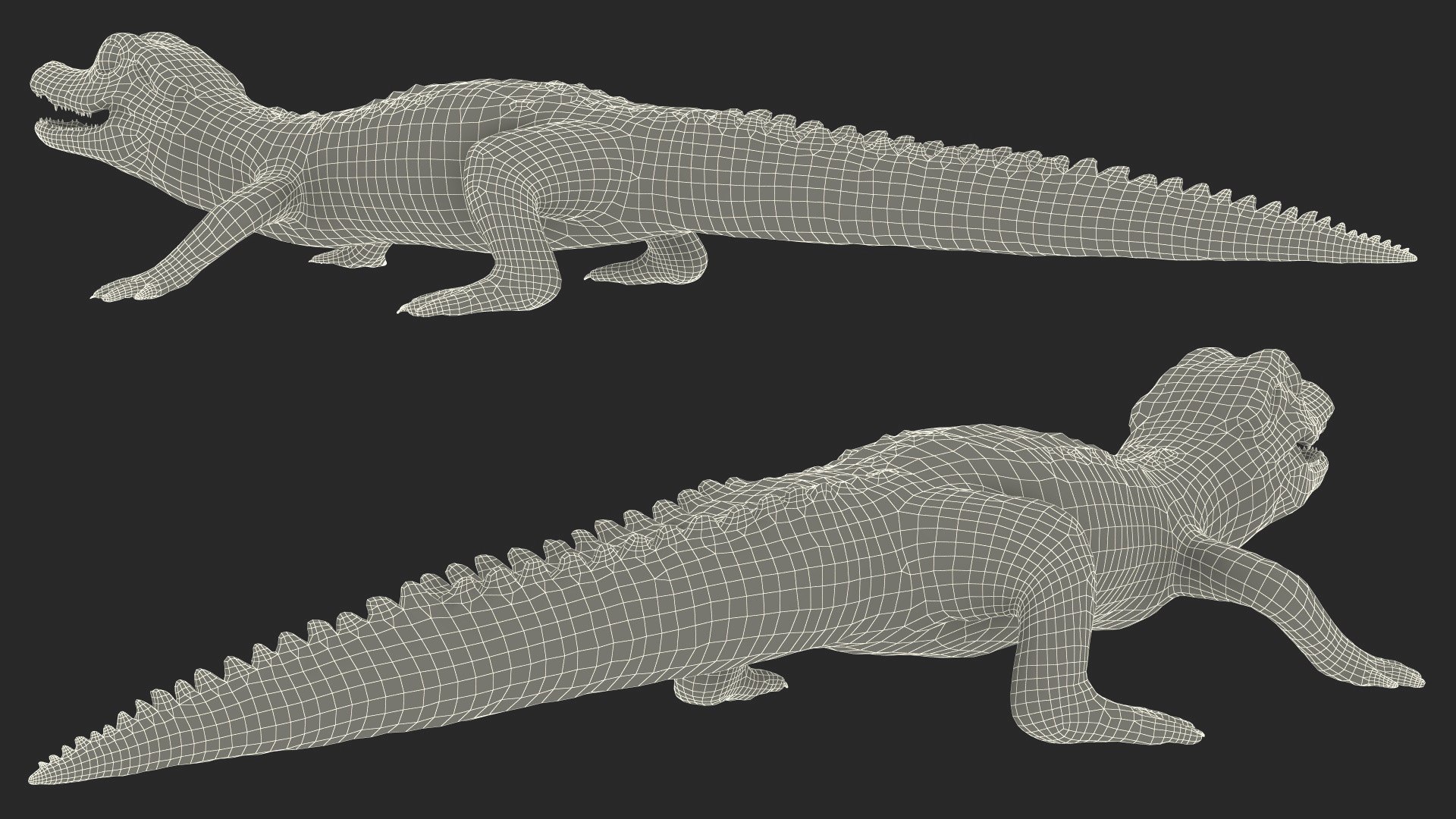 Black Caiman Baby 3D Model - TurboSquid 2212183