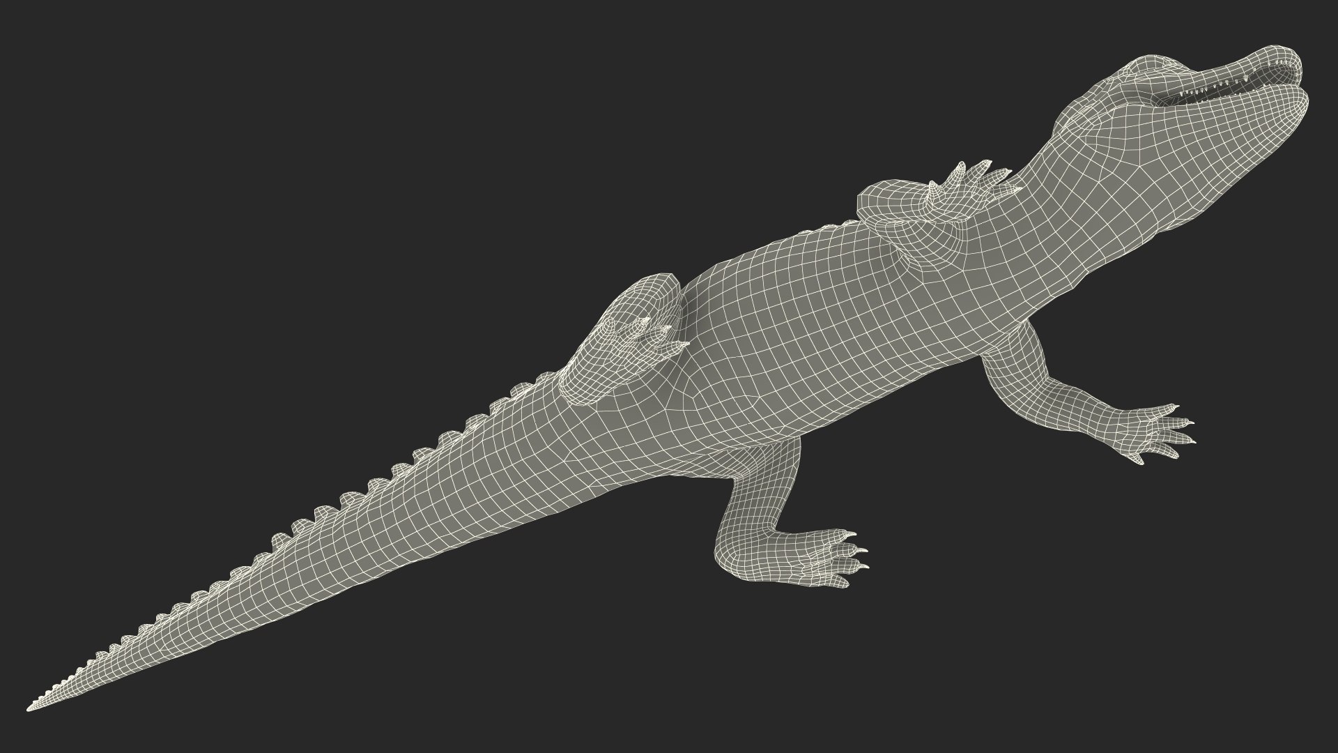 Black Caiman Baby 3D Model - TurboSquid 2212183