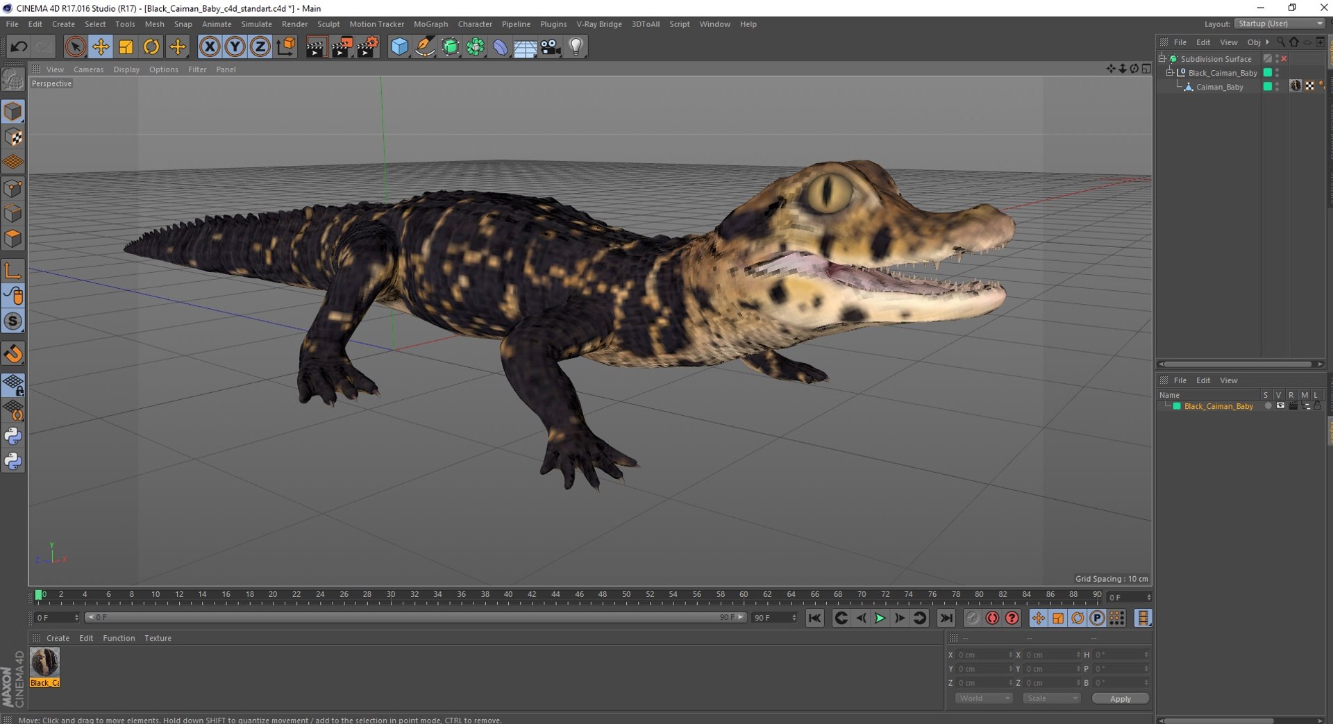 Black Caiman Baby 3D Model - TurboSquid 2212183