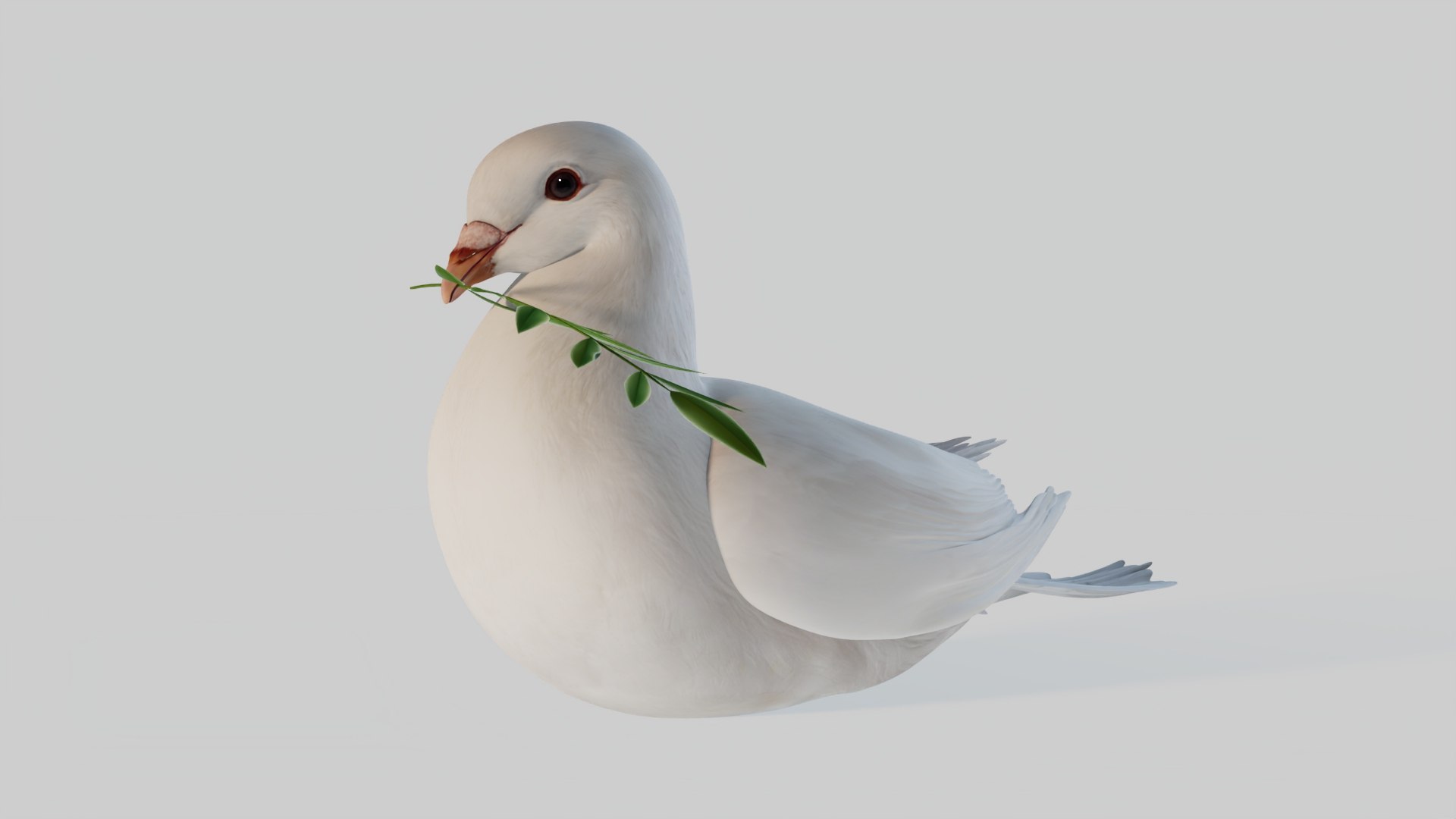 3D Dove Animated Model - TurboSquid 2327554