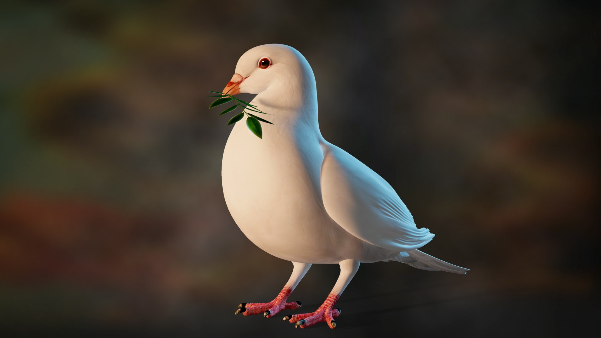3D Dove Animated Model - TurboSquid 2327554
