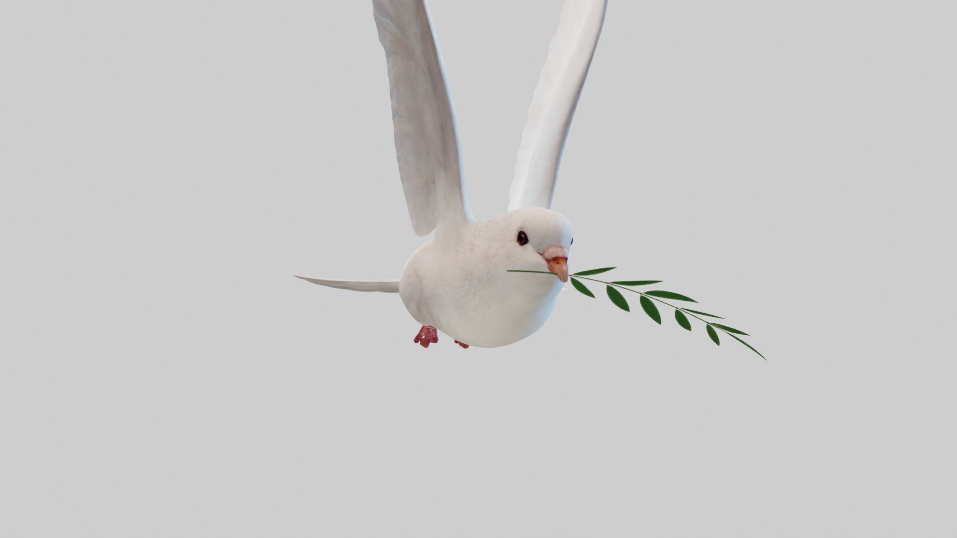 3D Dove Animated Model - TurboSquid 2327554