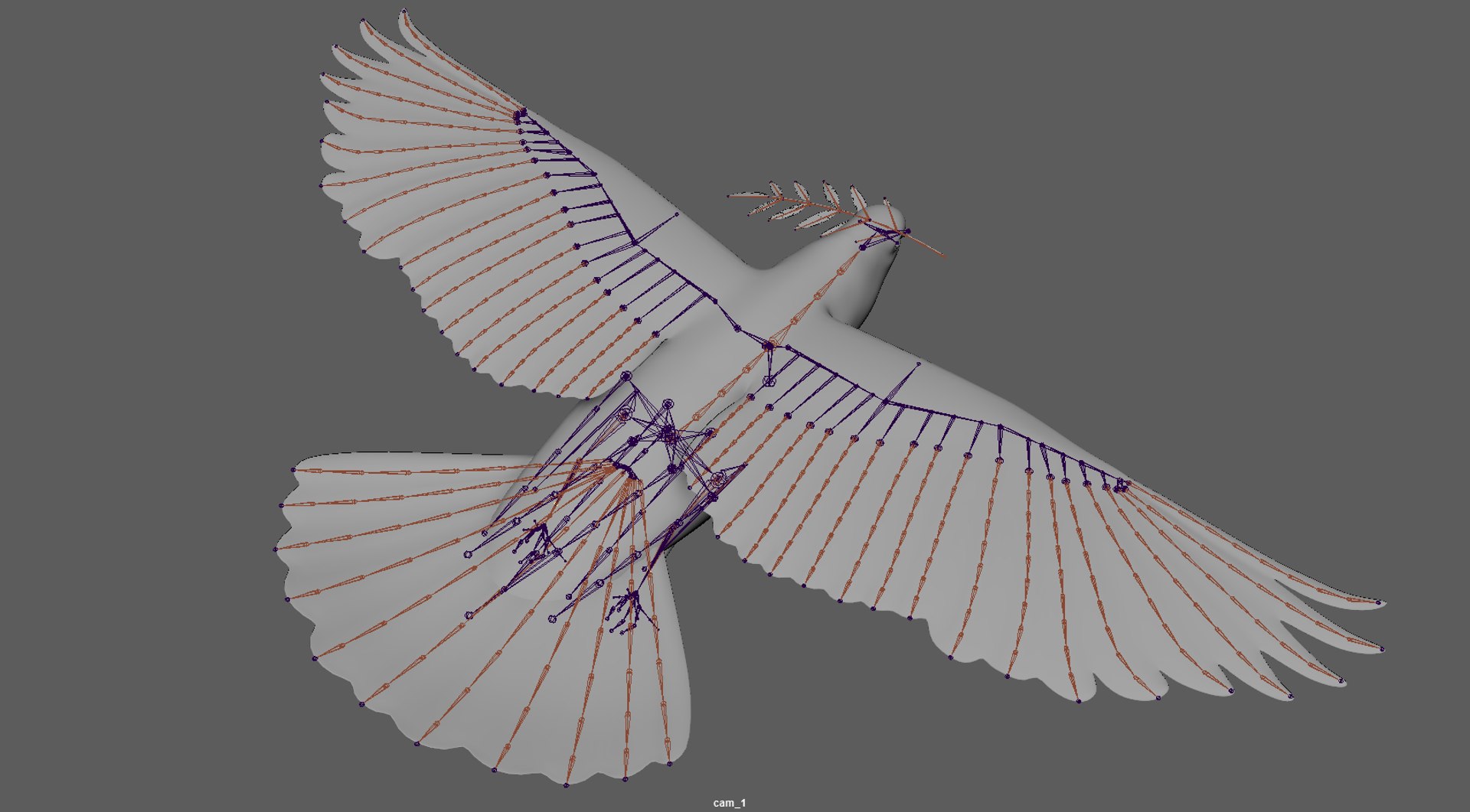 3D Dove Animated Model - TurboSquid 2327554