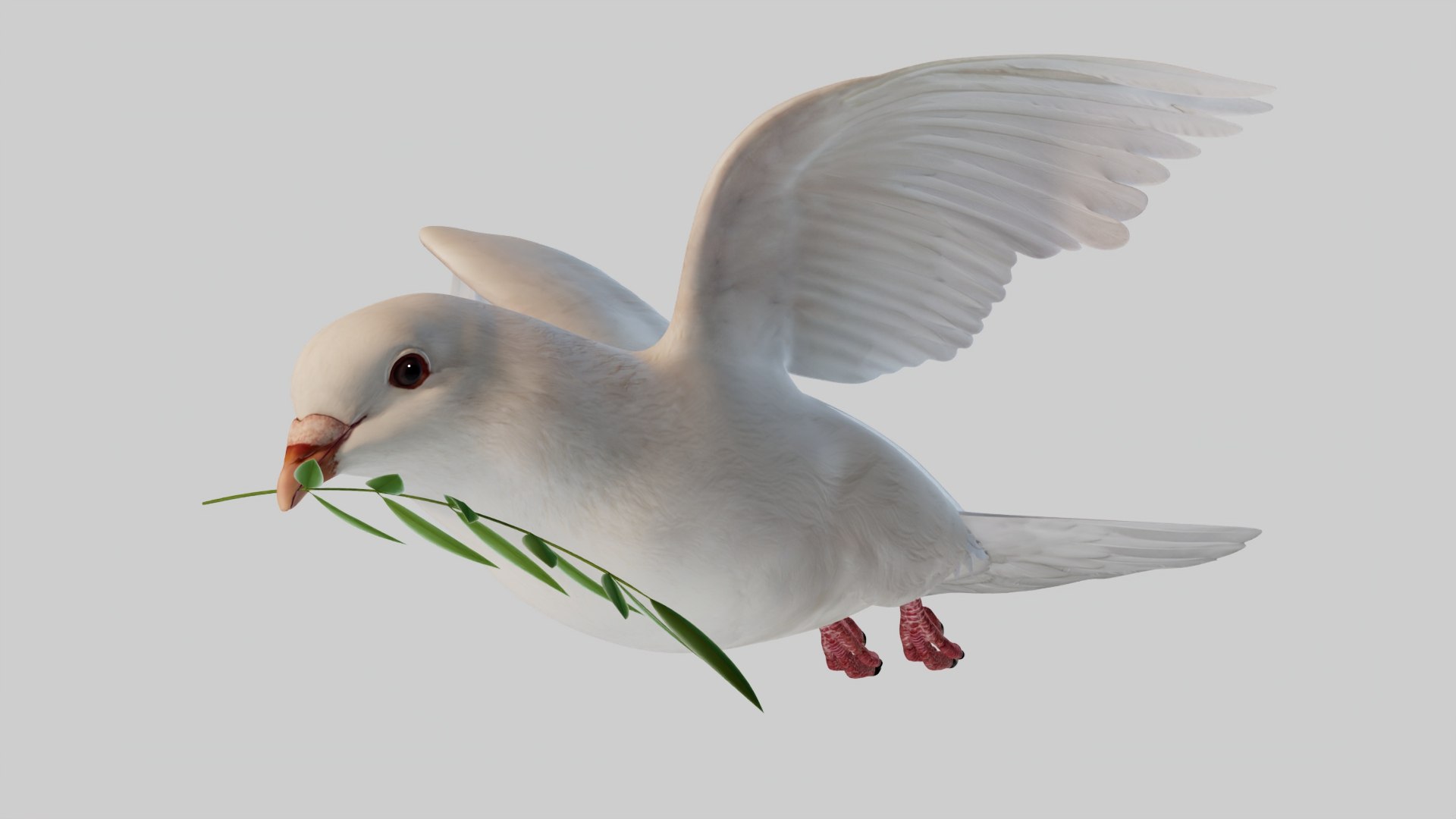 3D Dove Animated Model - TurboSquid 2327554