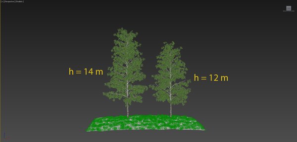 Birch tree grass scatter model - TurboSquid 1578599