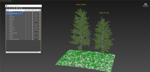 Birch tree grass scatter model - TurboSquid 1578599