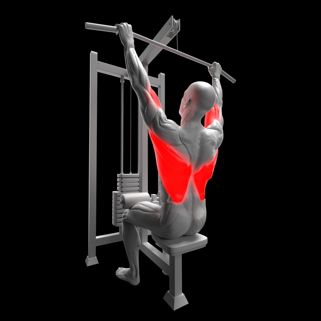 3D Lat Pulldown - TurboSquid 2228690