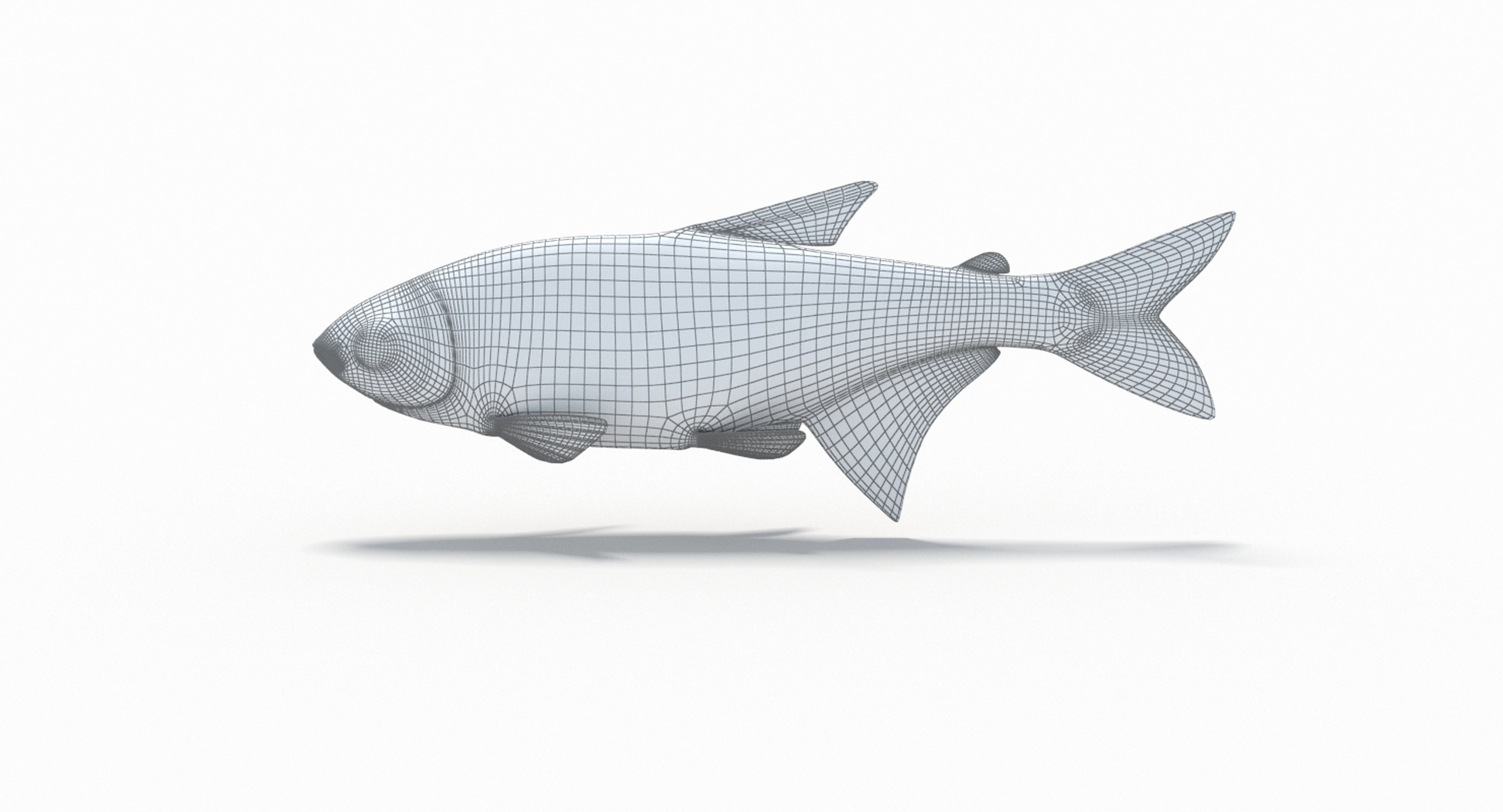 Neon Tetra Fish Animation 3D Model - TurboSquid 1326595