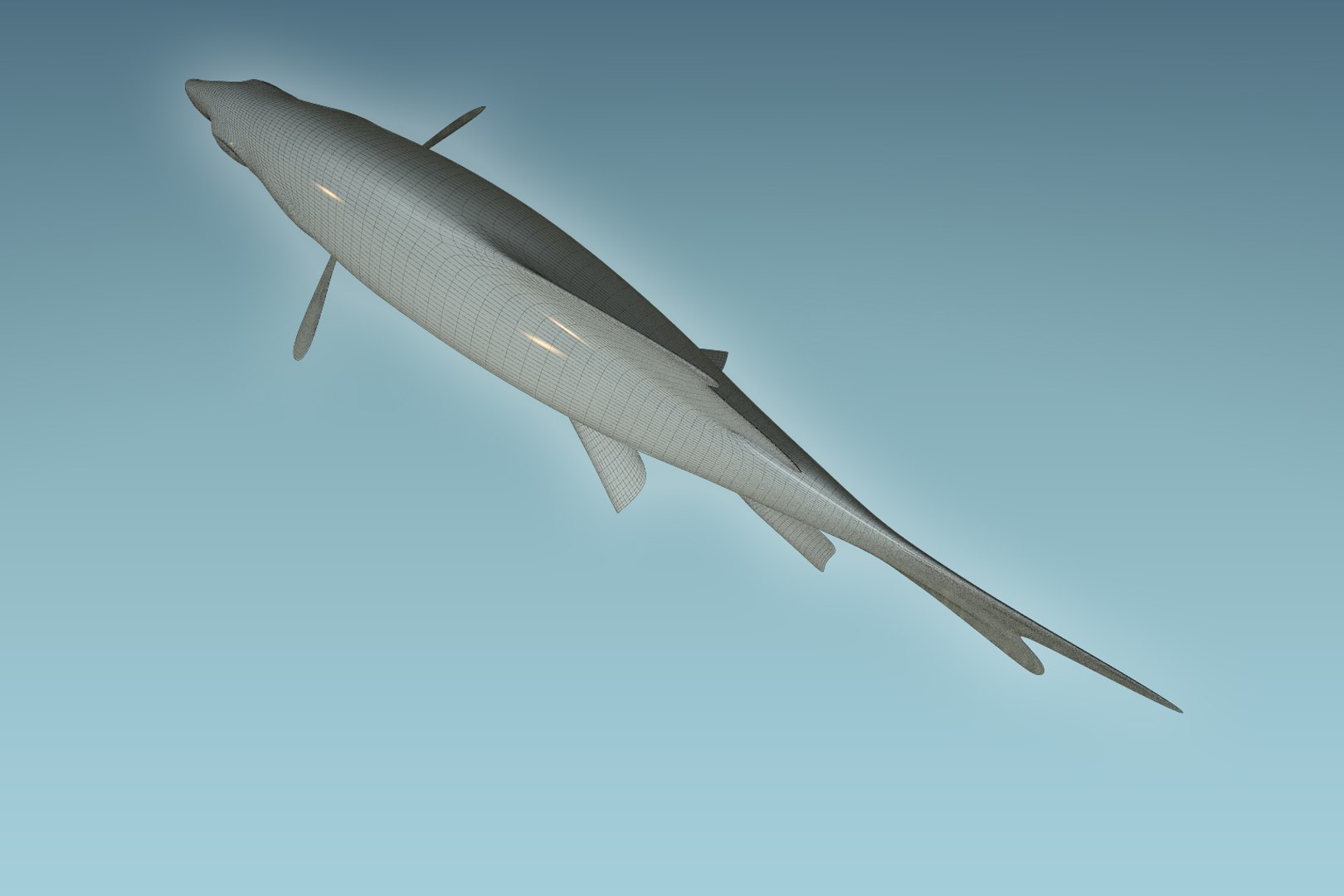 Red Tailed Fish 3D Model - TurboSquid 1200857