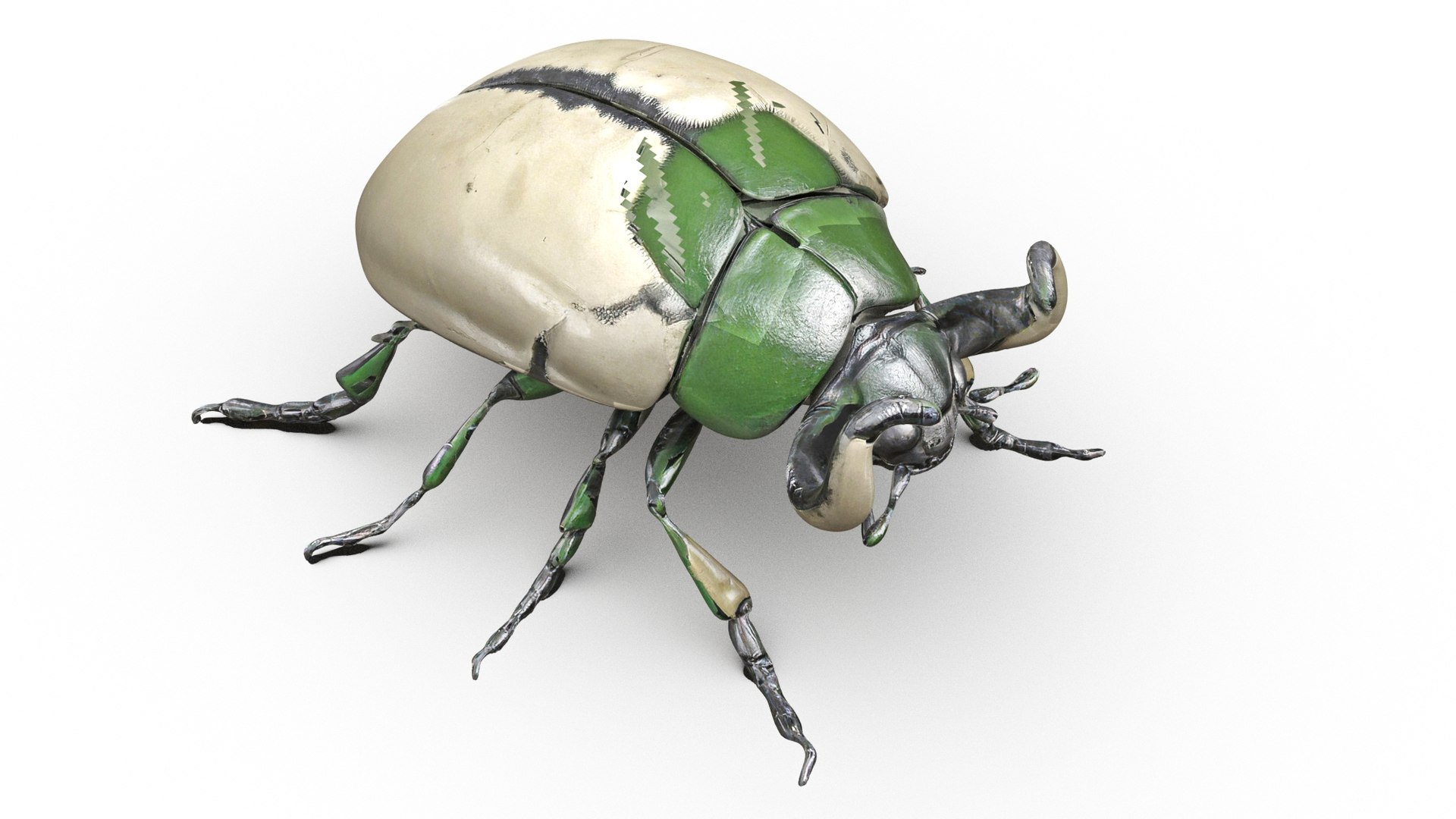 3D Model Insects Pack - TurboSquid 2318624