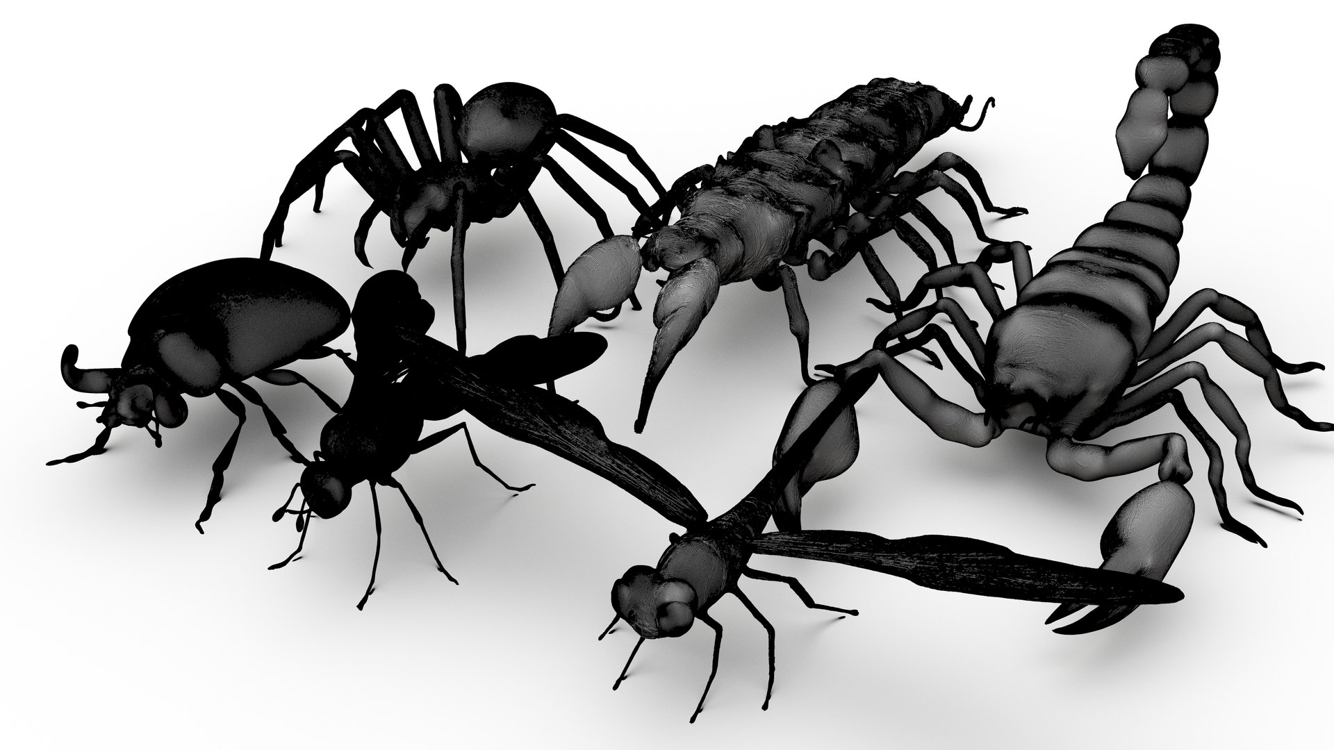 3D Model Insects Pack - TurboSquid 2318624