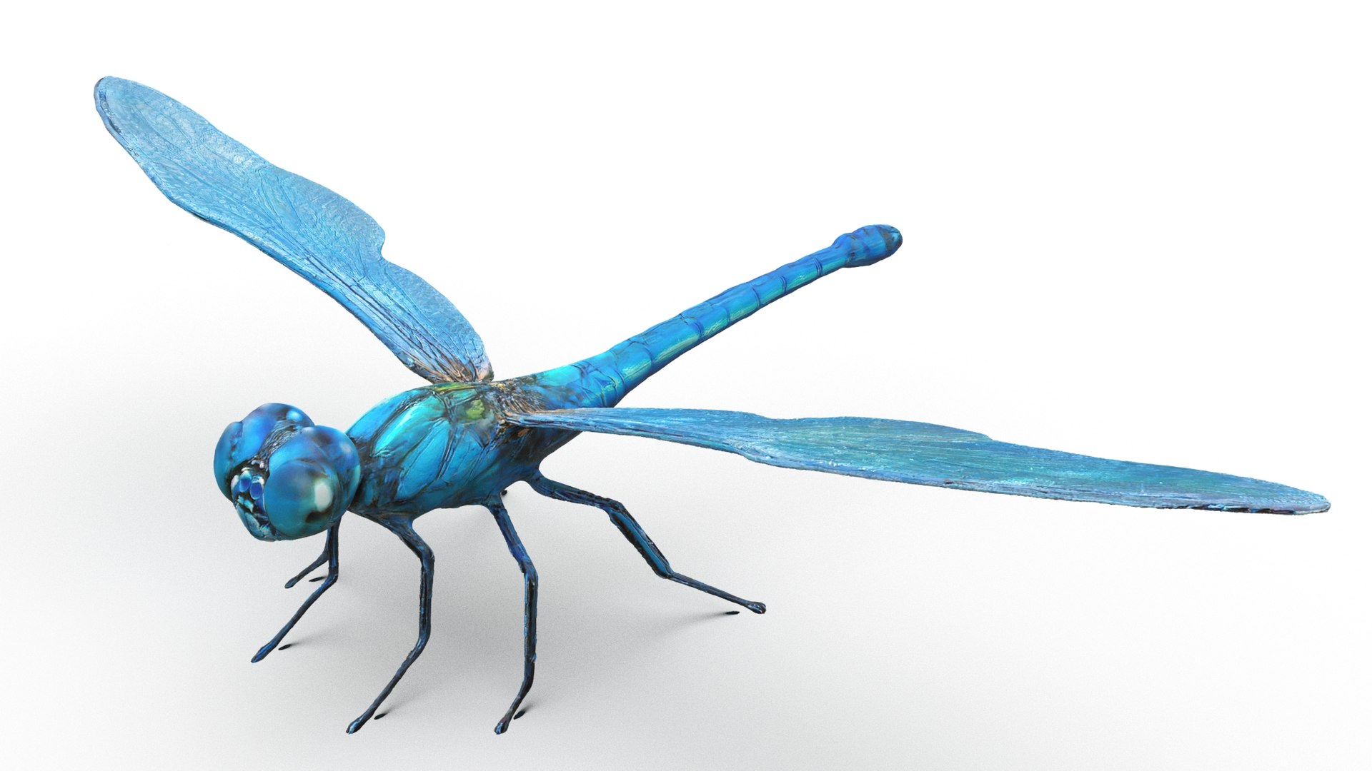 3D Model Insects Pack - TurboSquid 2318624