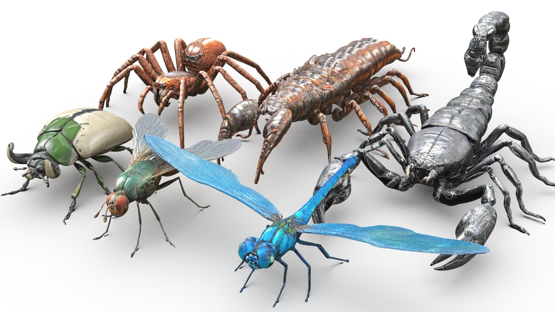 3D Model Insects Pack - TurboSquid 2318624
