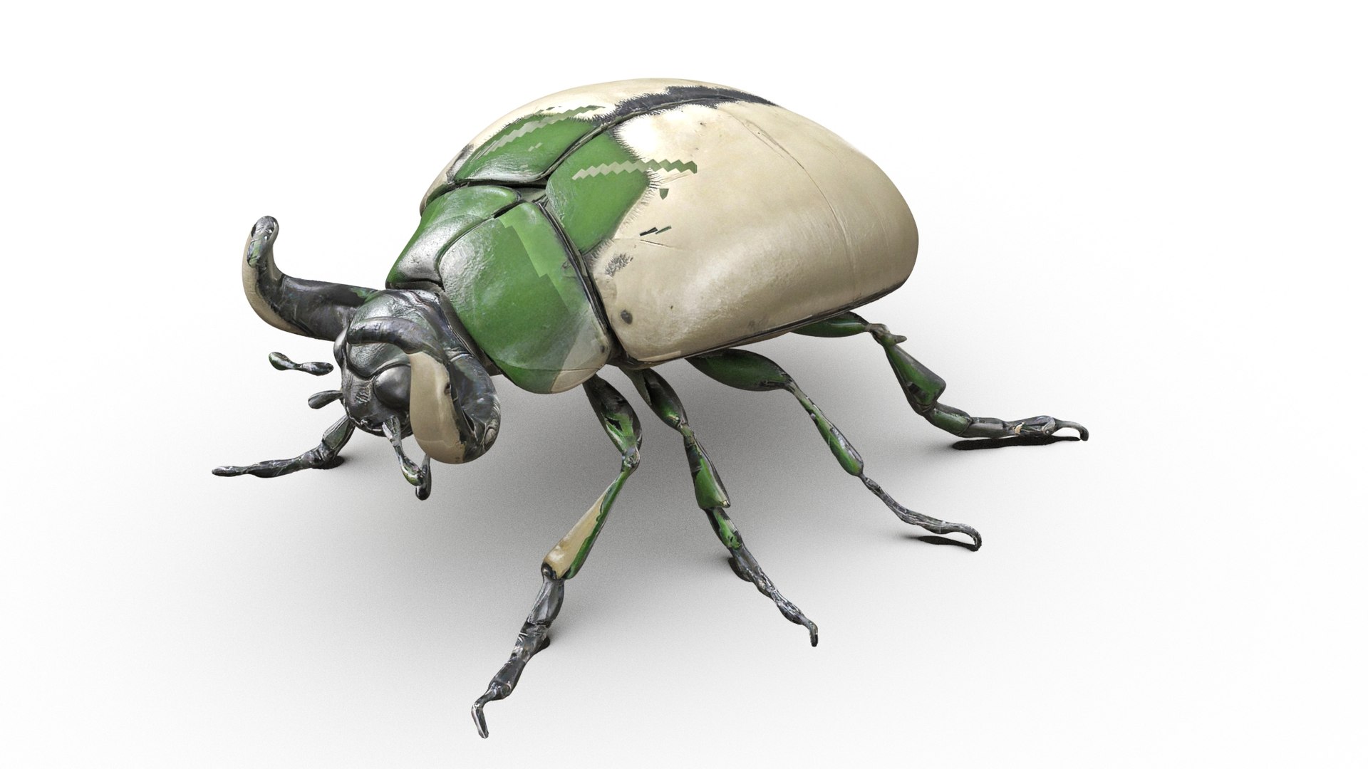 3D Model Insects Pack - TurboSquid 2318624