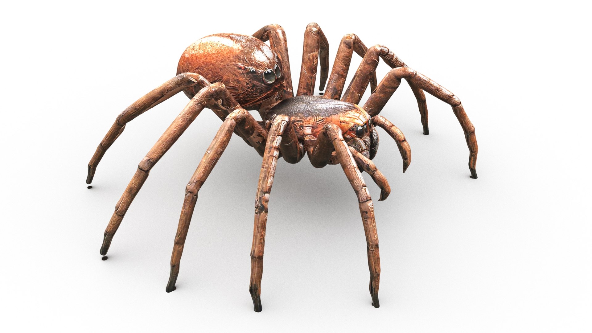 3D Model Insects Pack - TurboSquid 2318624