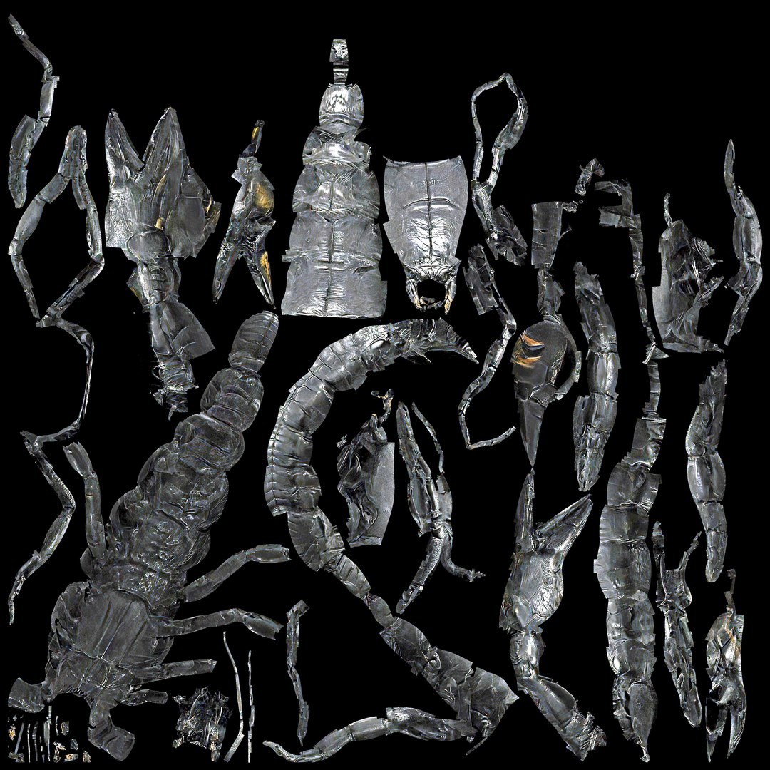 3D Model Insects Pack - TurboSquid 2318624