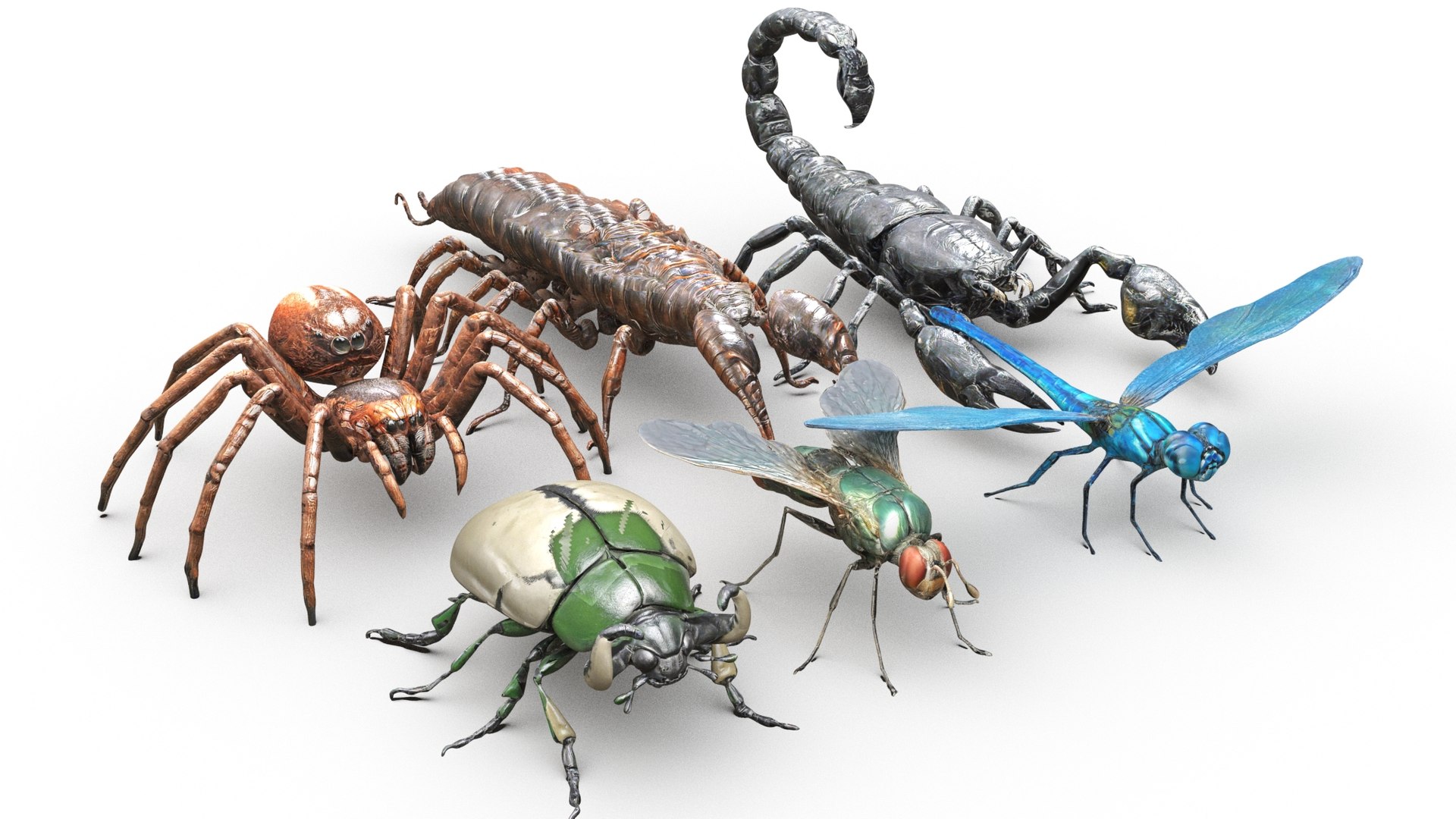 3D Model Insects Pack - TurboSquid 2318624