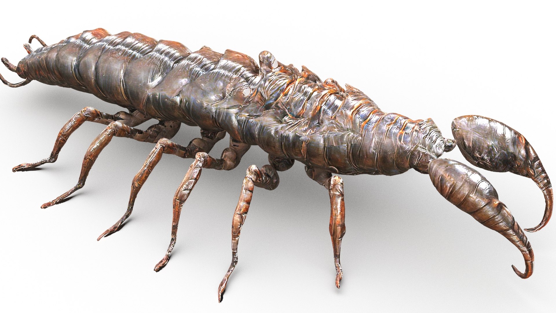 3D Model Insects Pack - TurboSquid 2318624