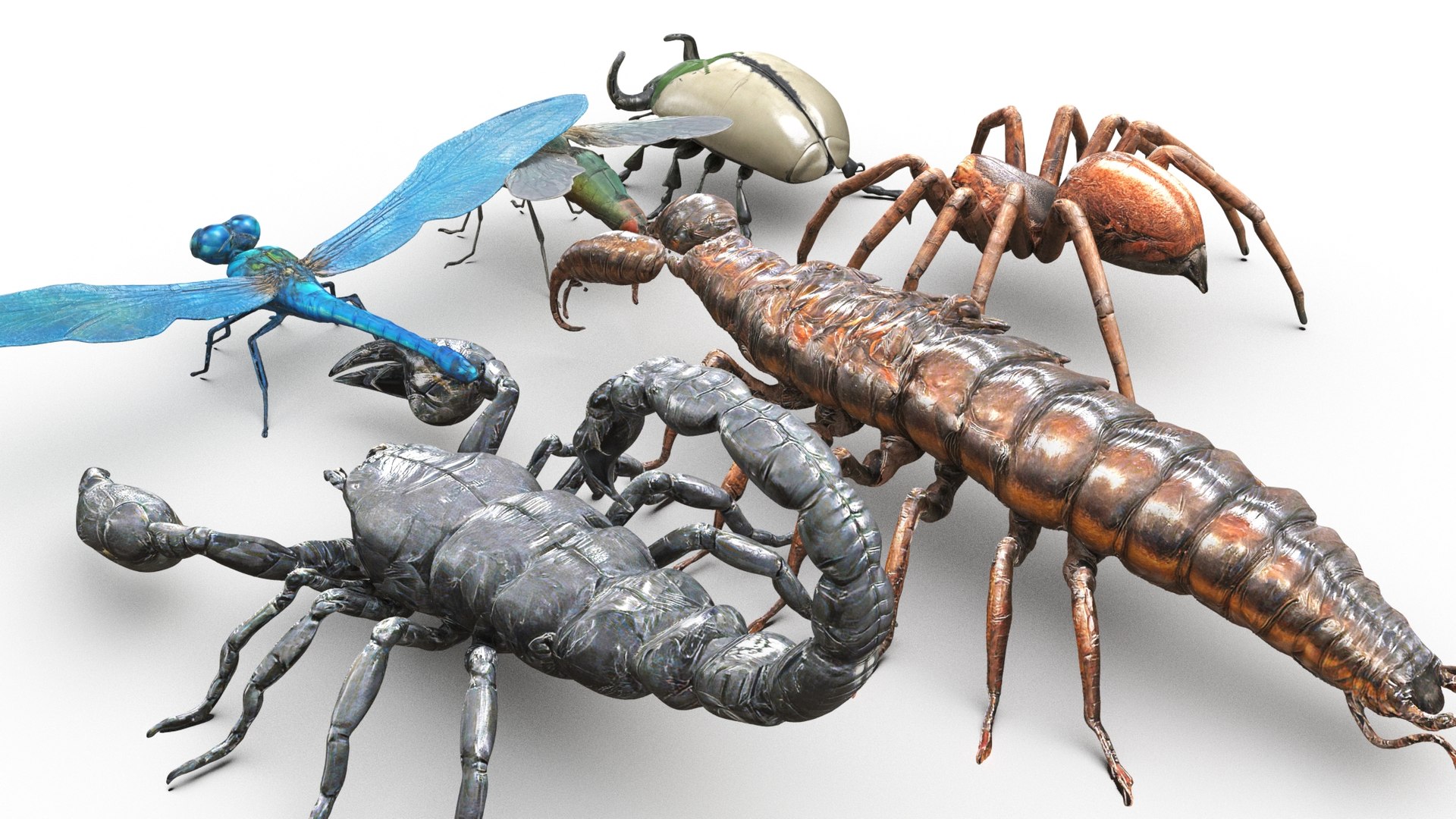 3D Model Insects Pack - TurboSquid 2318624