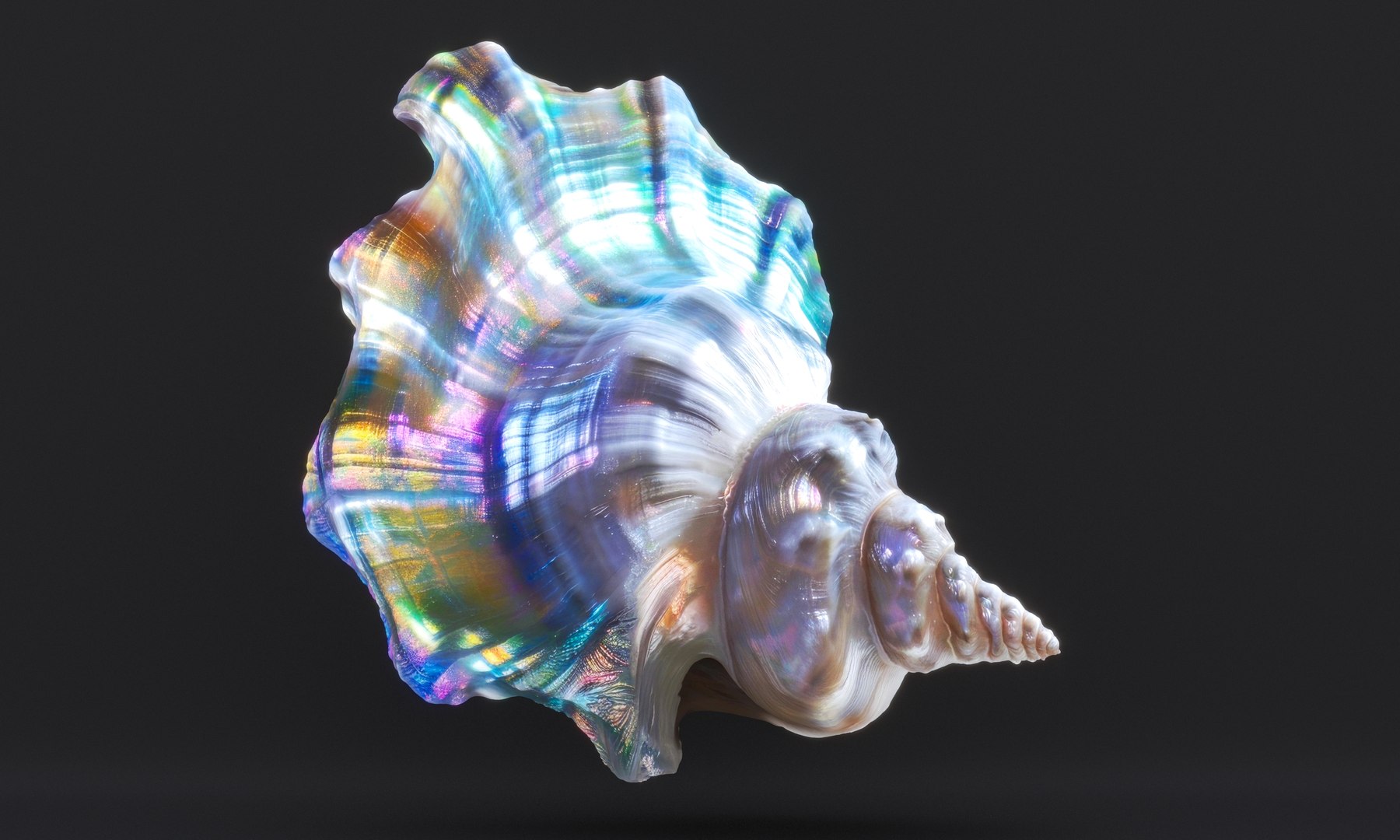 Colorfull Seashell Pack 3D model - TurboSquid 2177568