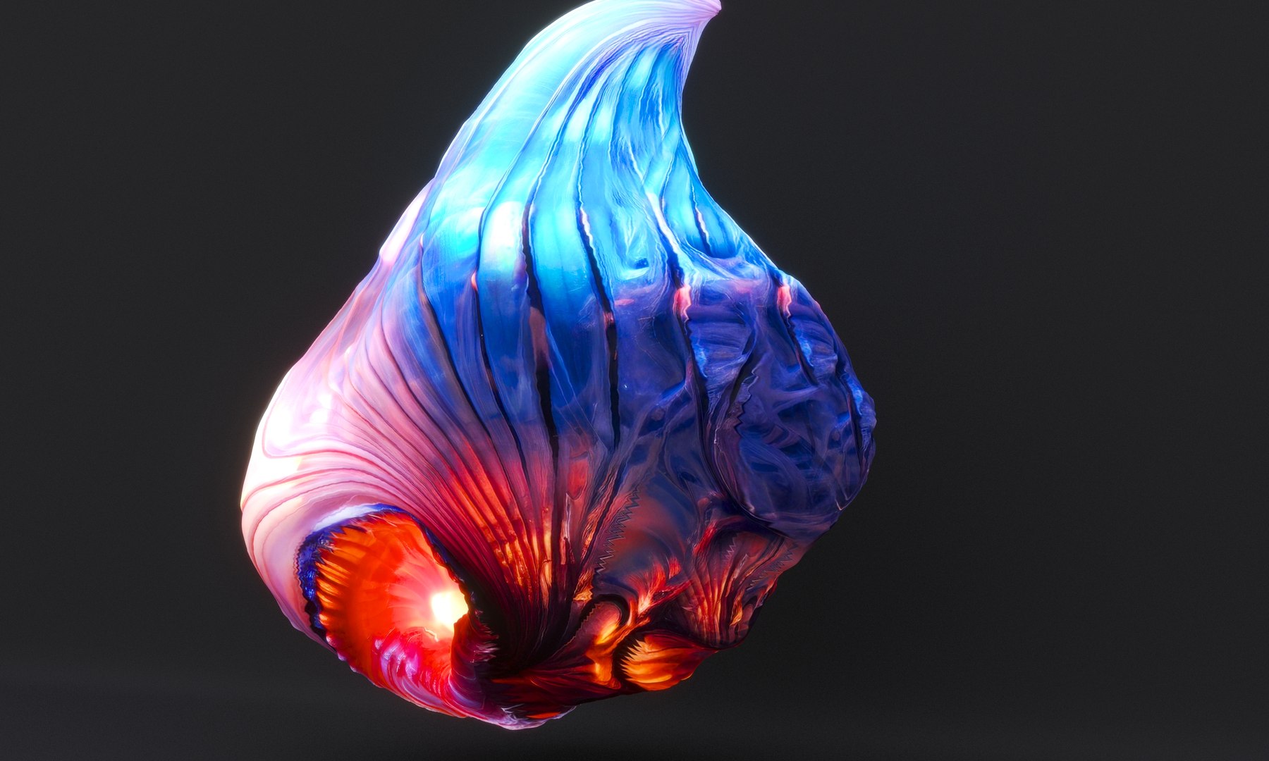 Colorfull Seashell Pack 3D model - TurboSquid 2177568