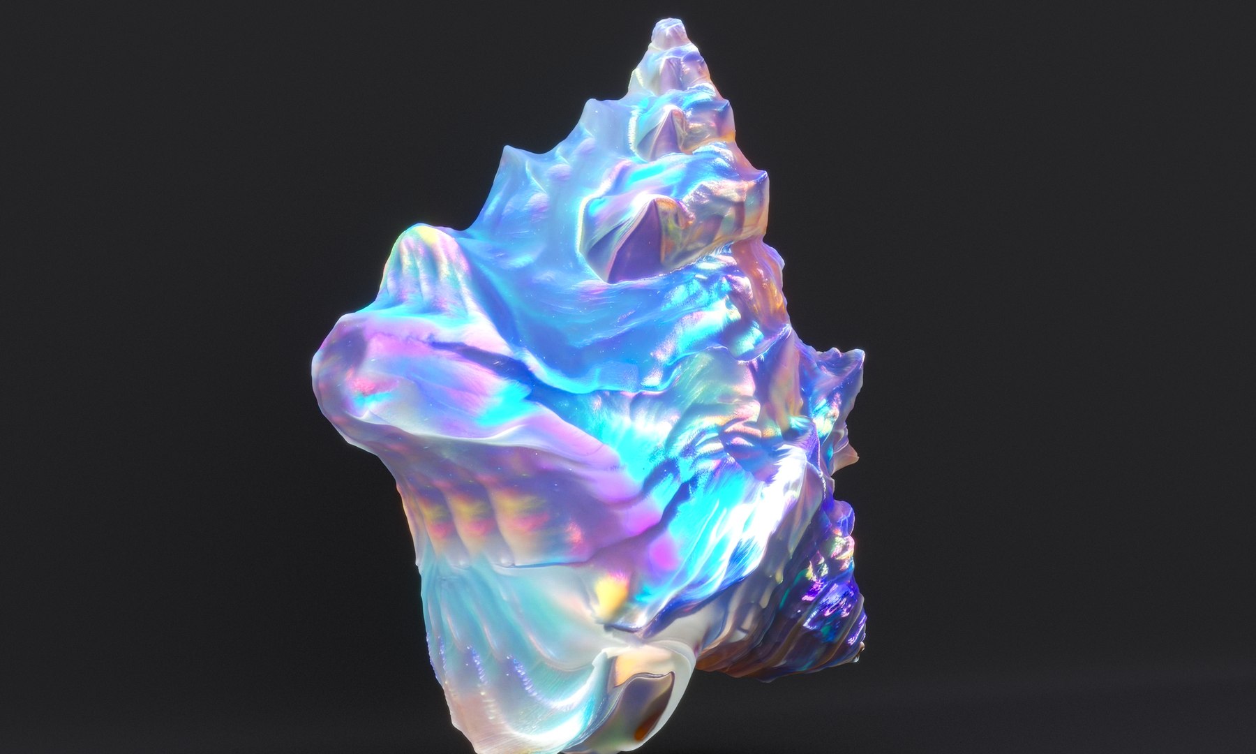 Colorfull Seashell Pack 3D model - TurboSquid 2177568