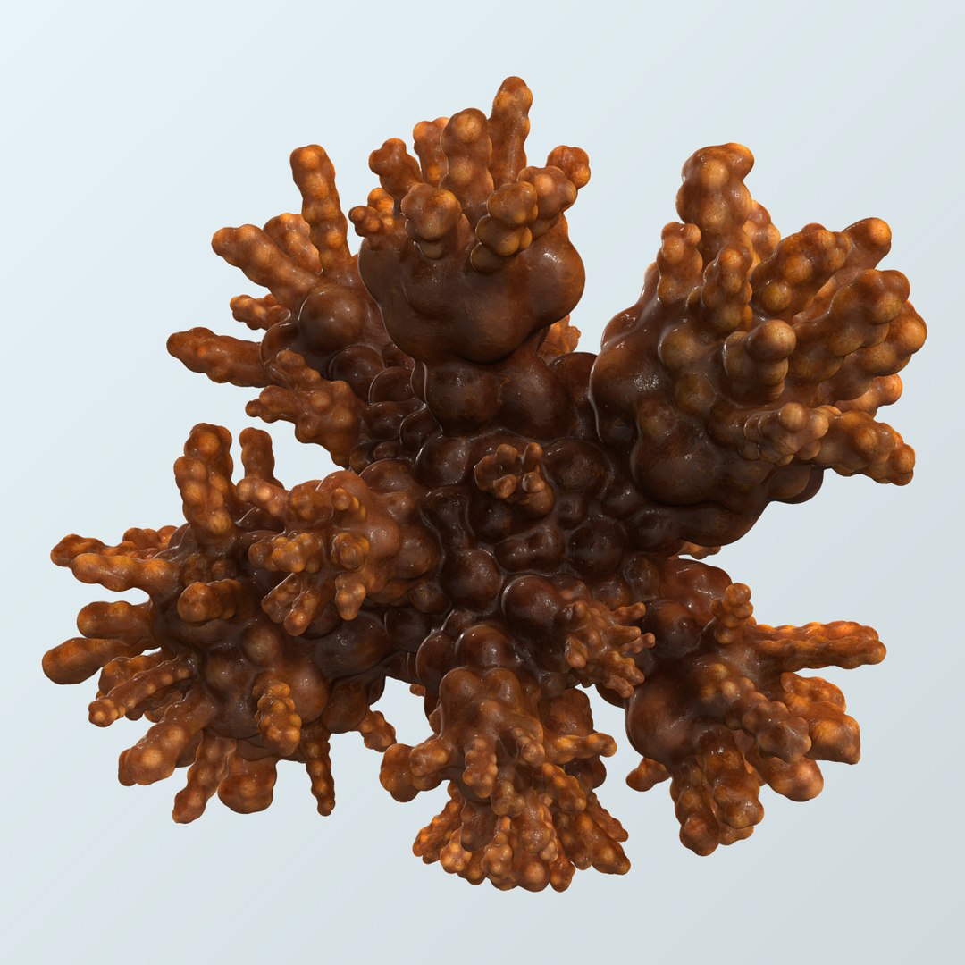 Realistic Kidney Stone 3D Model - TurboSquid 1208489