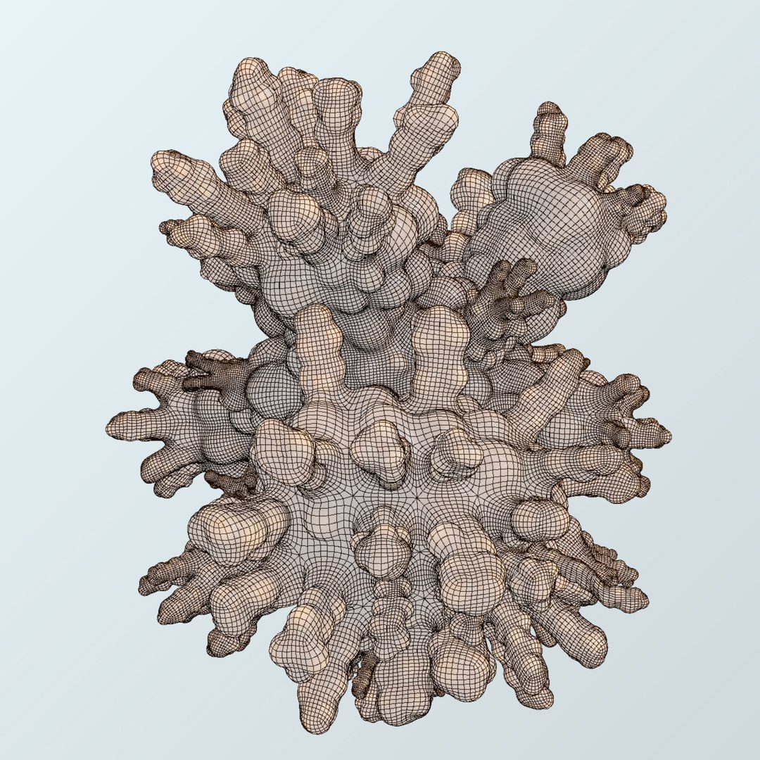 Realistic Kidney Stone 3D Model - TurboSquid 1208489