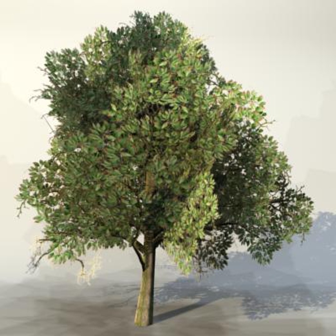 3d Model Pc Tree
