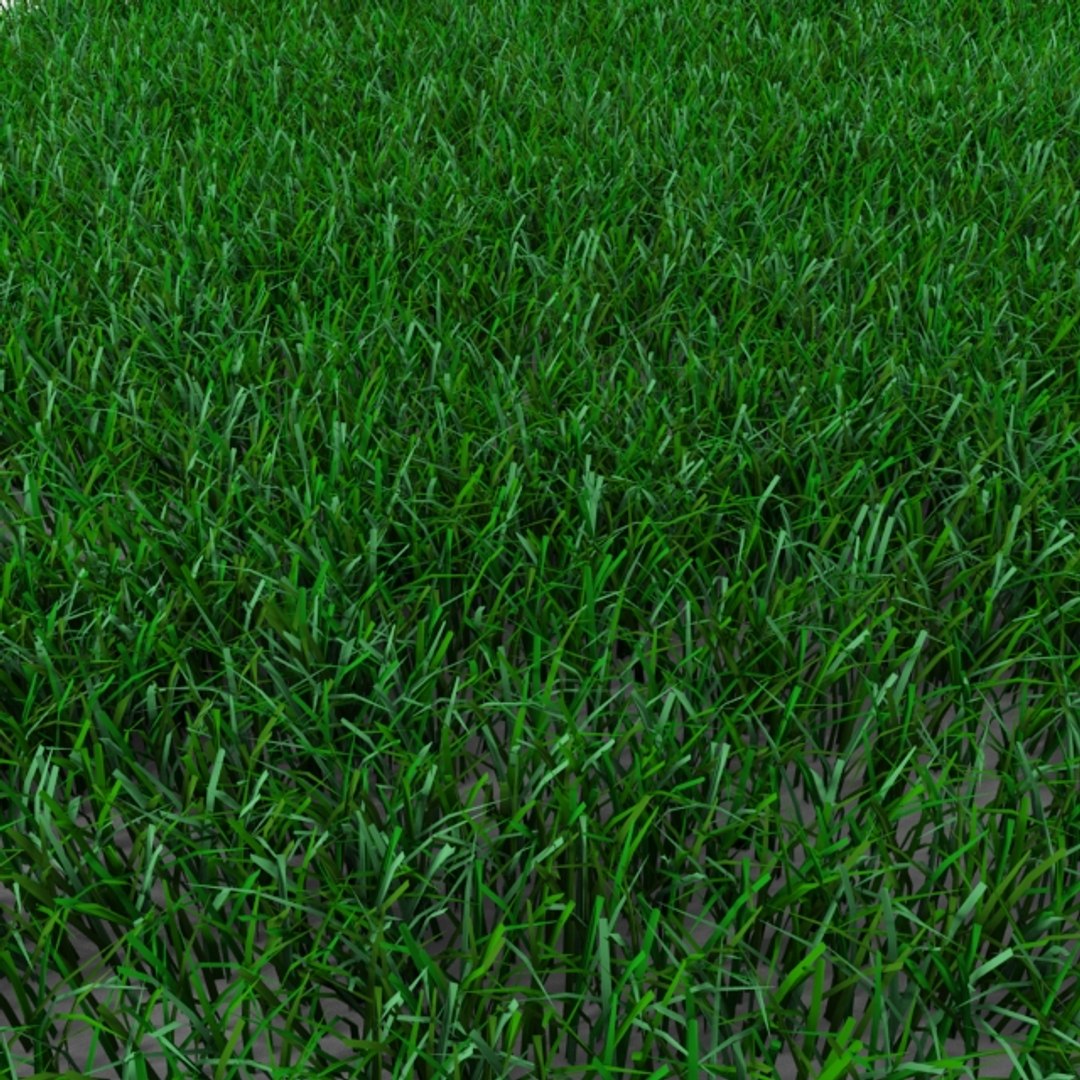 Cut Grass Pack 3d Model