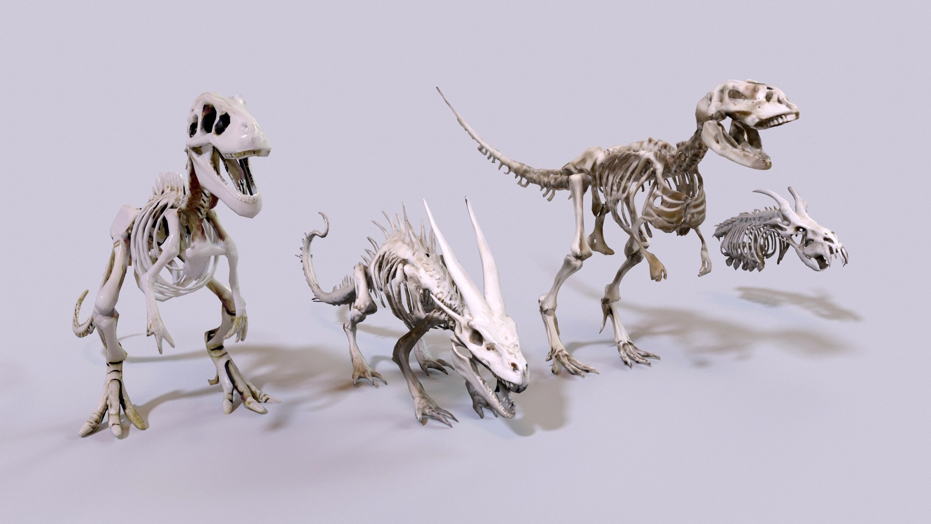Ultimate Skeleton Pack - 62 Game-ready Lowpoly Assets 3D - TurboSquid ...