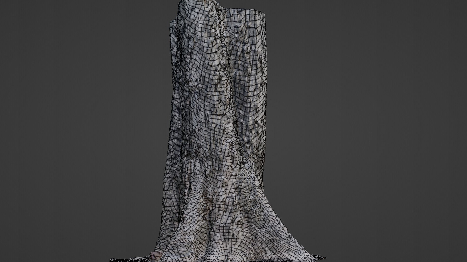 Tree Trunk 3D Model - TurboSquid 2329907