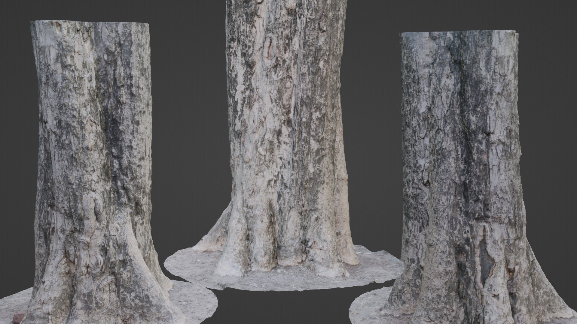 Tree Trunk 3D Model - TurboSquid 2329907